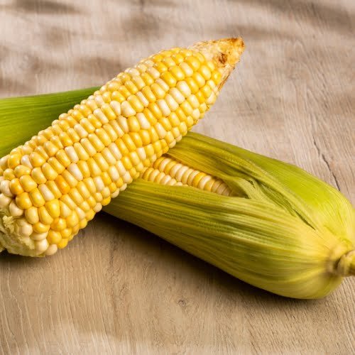 Kandy Korn Sweet Corn (SE) – Green Grass Grove